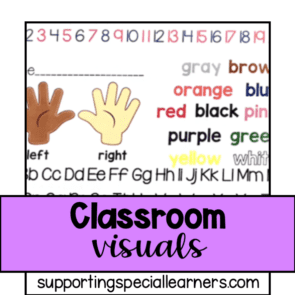 Classroom Visuals - Supporting Special Learners